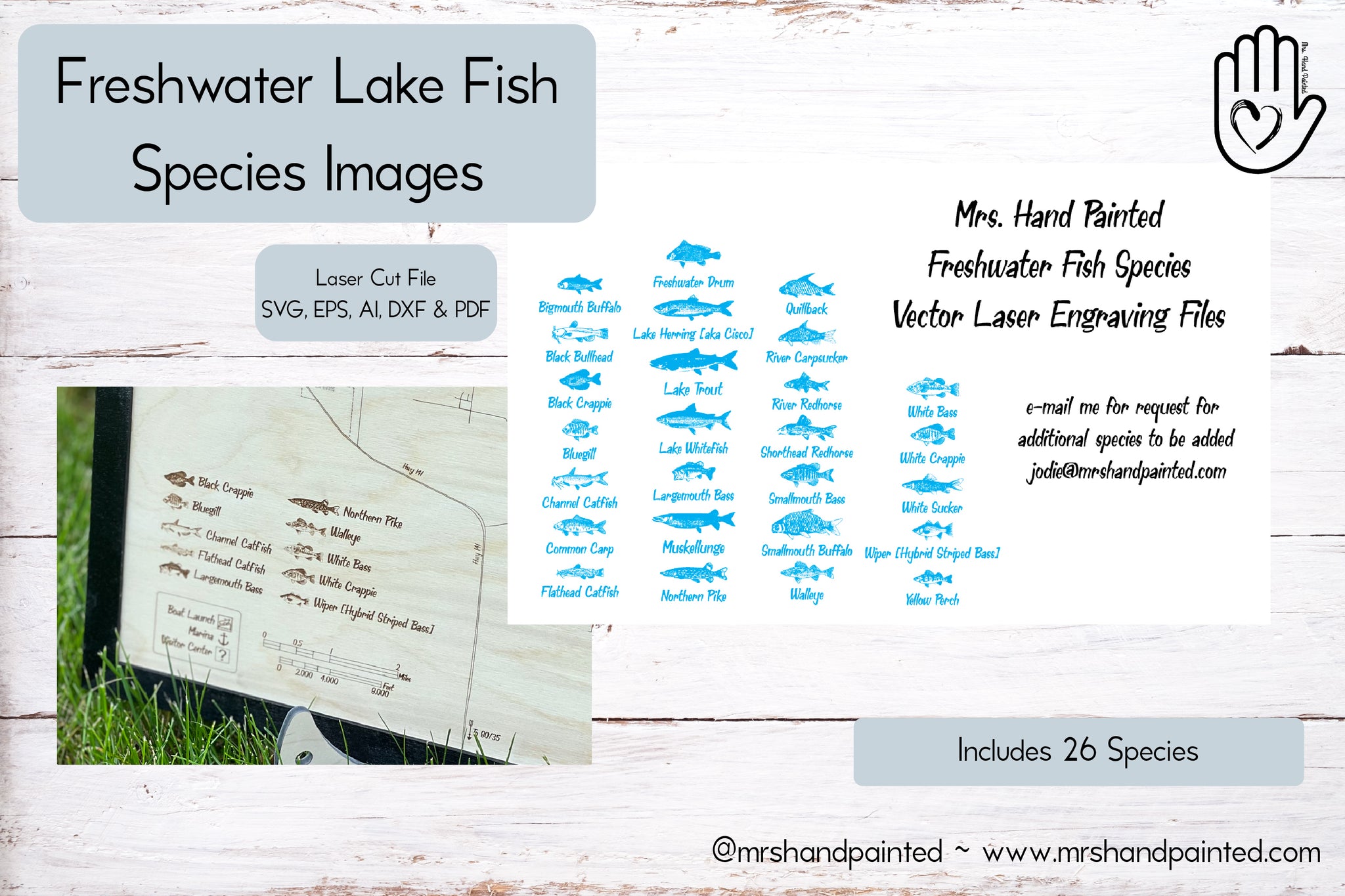 Digital Laser Engrave File - Freshwater Fish Species – MrsHandPainted